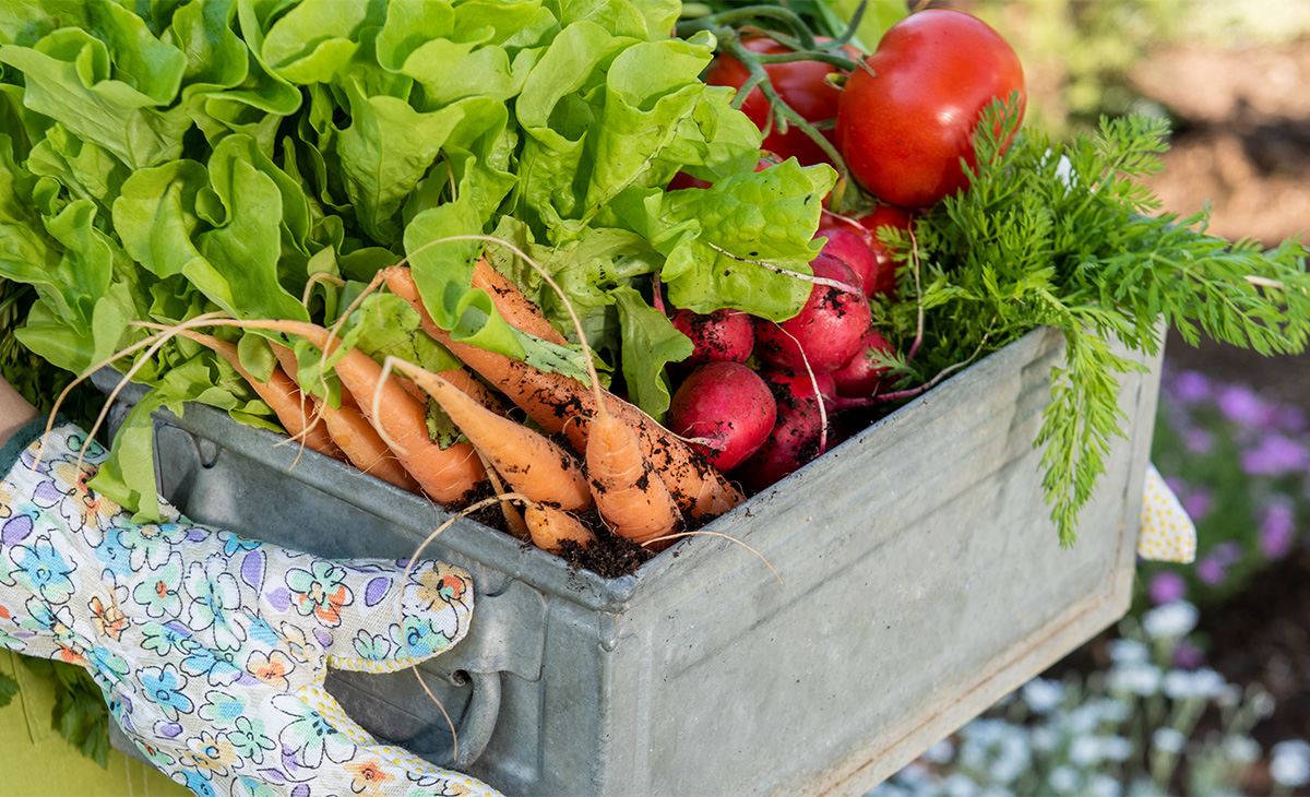 farm_food - Senator Art Haywood